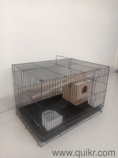 Metal Bird cage with Breed Box for sale | Mohammed Wadi, Pune | Quikr