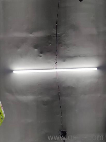 Le Tube Phillips | Karnal | Quikr